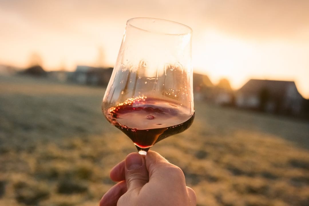 September, the Wine Month | Blog Casolare Le Terre Rosse